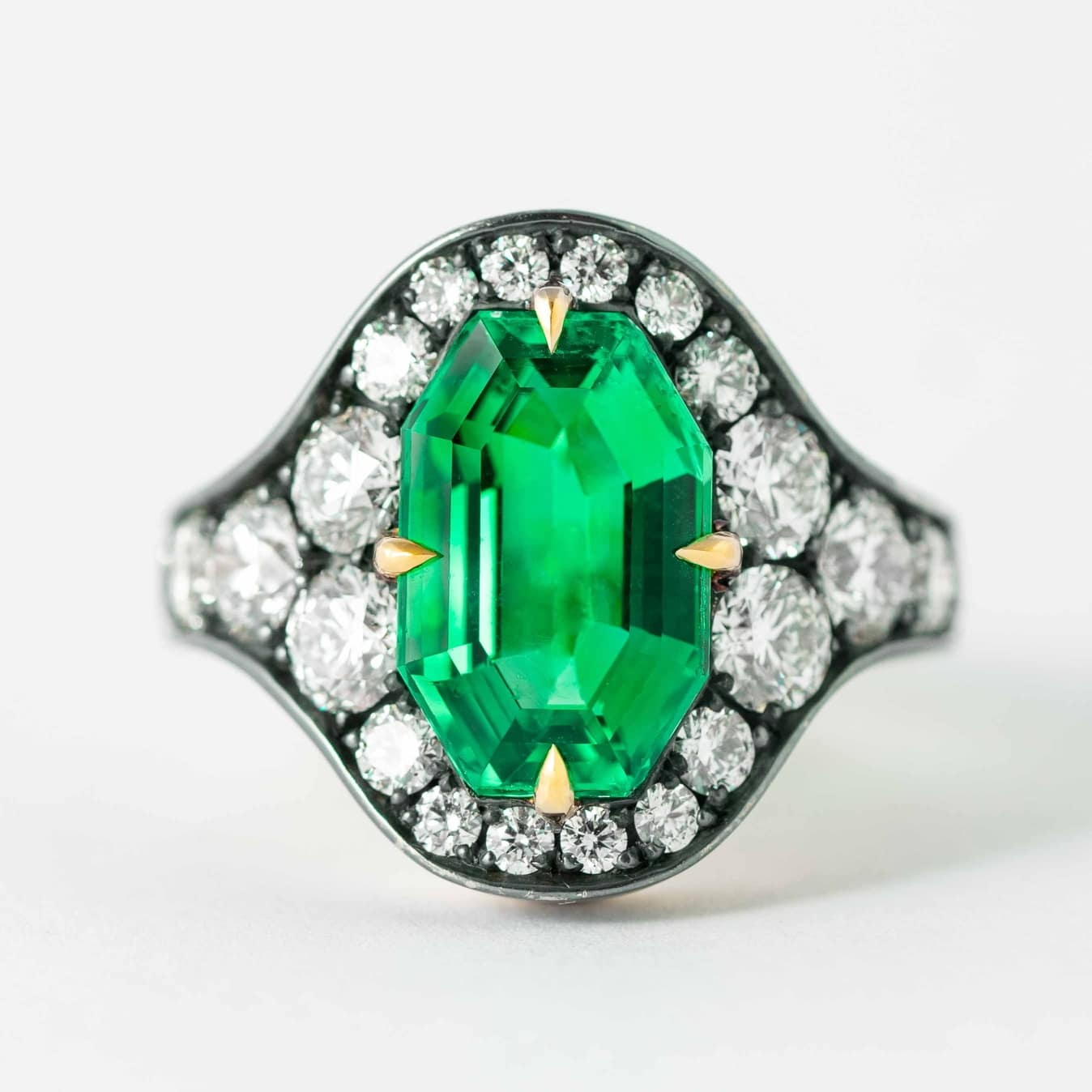 Shop Original Gurgling Cod — Shreve, Crump & Low